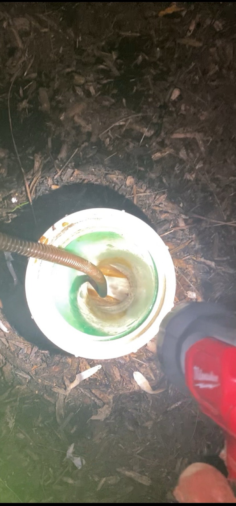 8 Warning Signs of a Sewer Line Backup - Vertical Plumbing